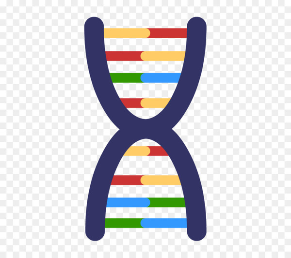 Free: DNA Mutation Genetics Clip art Genetic testing - dnapng banner ...