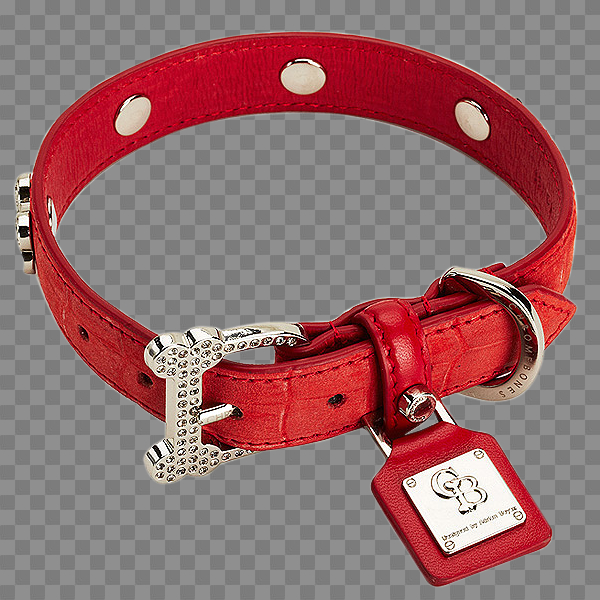 Free: Dog Collar PNG Photo - nohat.cc