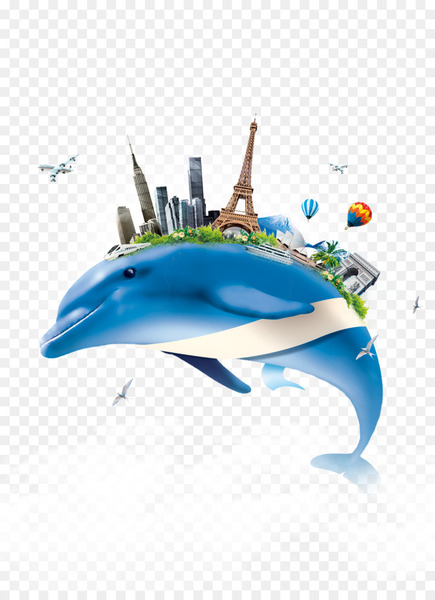 Free: Dolphin - Building on the creative background blue dolphin - nohat.cc