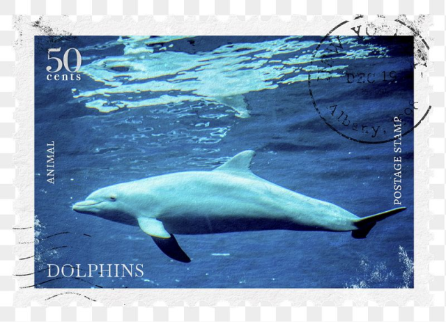 Free: Dolphin png post stamp sticker, | Free PNG - rawpixel - nohat.cc