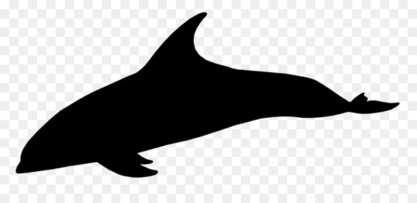 Free: Dolphin Porpoise Whales Clip art Fauna - - nohat.cc