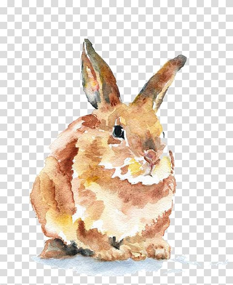 Free: Domestic rabbit Watercolor painting Art Drawing, painting ...