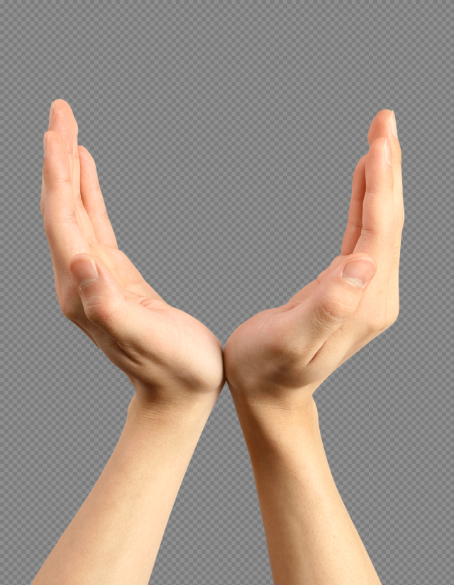 Free: Download Hands Png Hand Image HQ PNG Image | FreePNGImg - nohat.cc