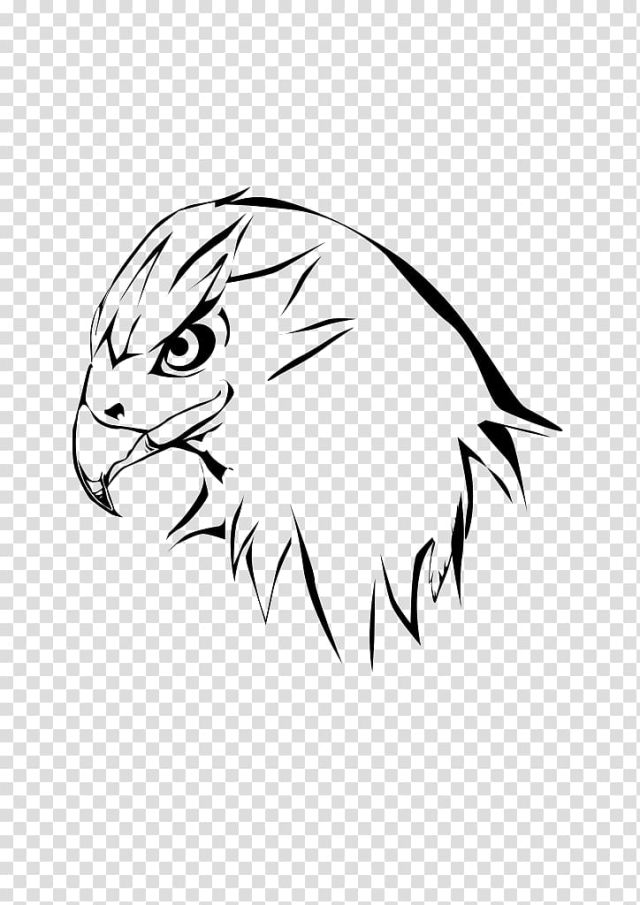 Free: Drawing Line art Cartoon , hawk transparent background PNG ...
