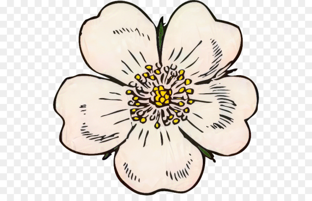 Free: Drawing, Prickly Wild Rose, Royalty Payment, Petal, Flower PNG ...