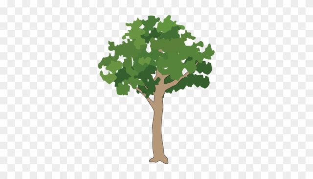 Free: Drawn Tree Rainforest - Rainforest Tree Vector Png - nohat.cc
