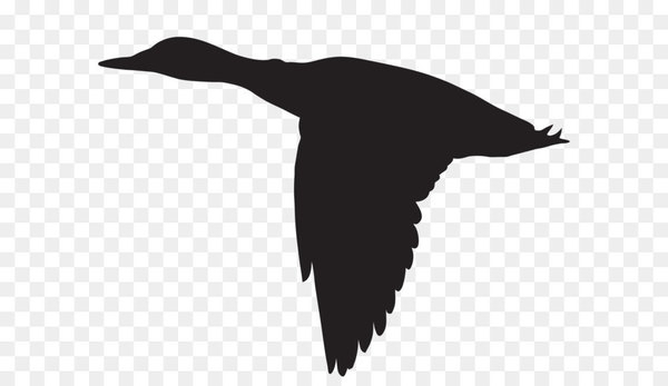 Flying Duck Clip Art