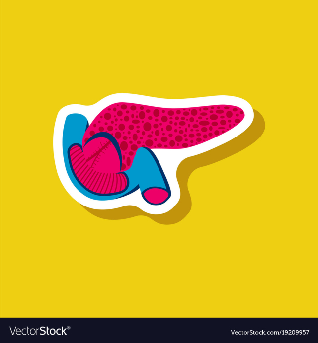 Free: Duodenum and pancreas paper sticker on stylish vector image ...