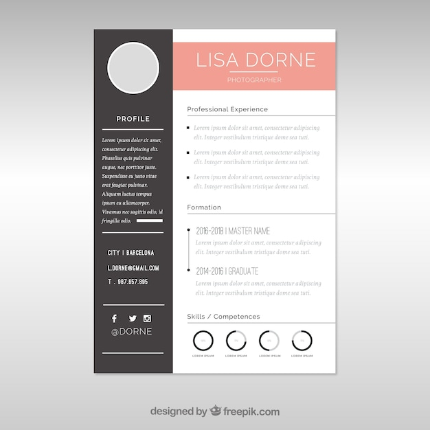 Free: Elegant cv template with graphics - nohat.cc