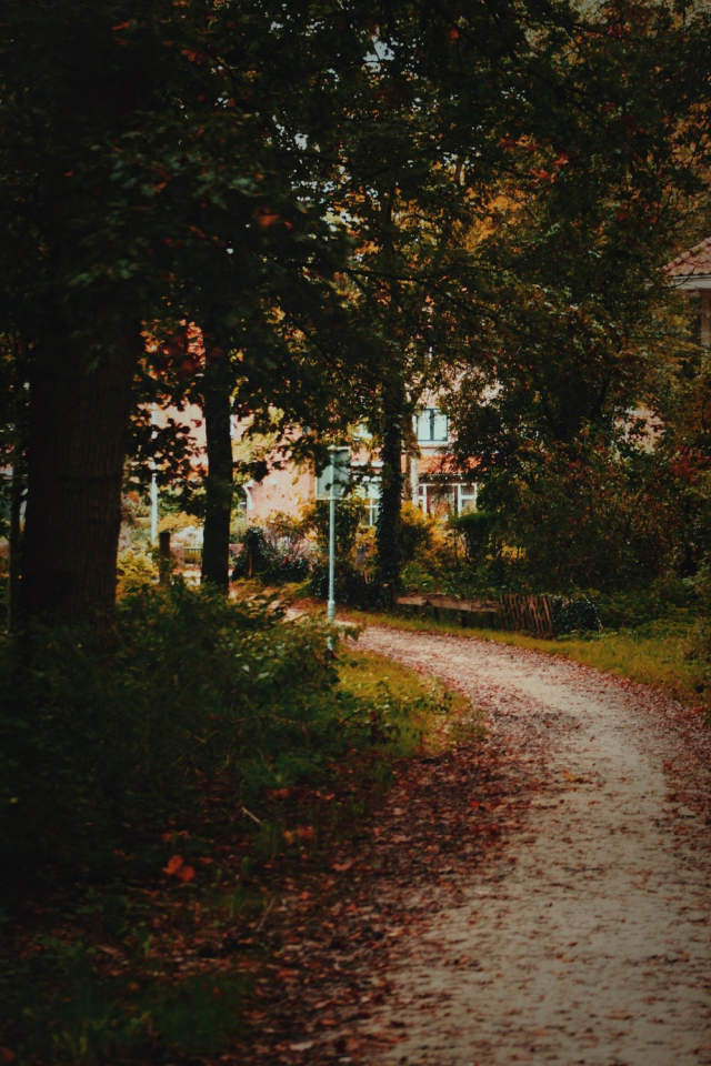 Free: Empty Pathway - nohat.cc