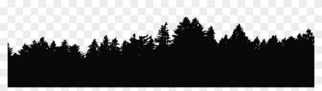 Free: Evergreen Treeline With Transparent Background - Forest Tree Line ...