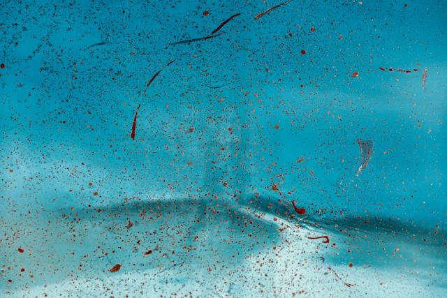 Free: Every day as heaven - nohat.cc