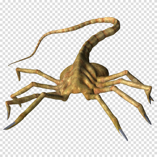 Free: Facehugger png by manoluv on DeviantArt - nohat.cc