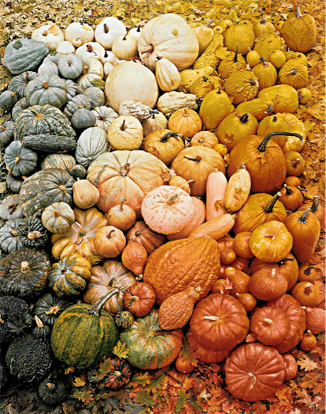 Free: Fall Color Gradients - nohat.cc