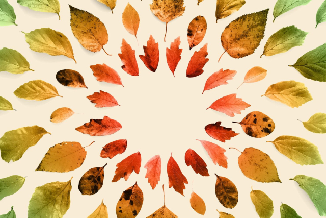 Free: Fall foliage map 2019: Trip ideas for leaf-peeping - The ...