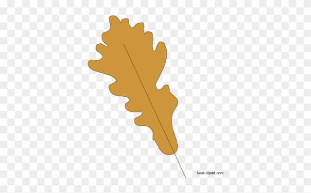 Free: Fall Leaf Clip Art Free - Autumn Leaves - nohat.cc