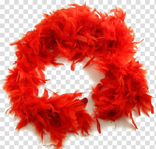 Free: Feather Boa PNG Transparent Image - nohat.cc