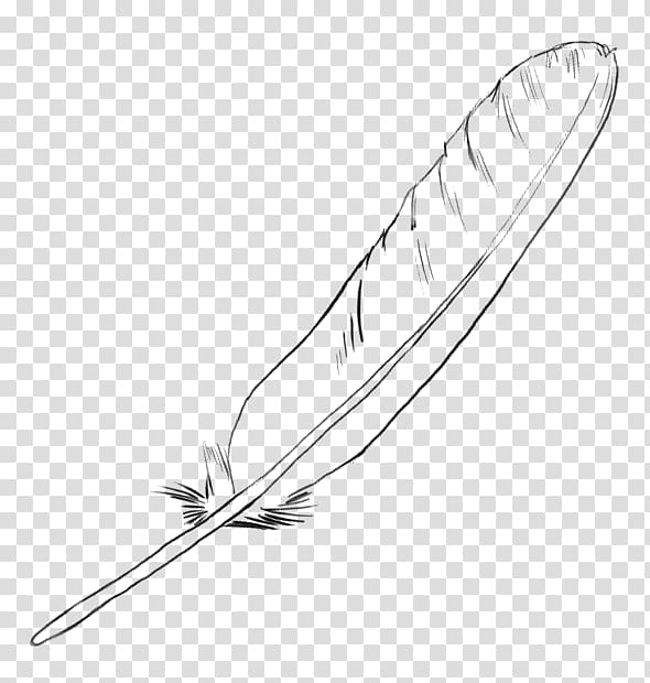 Free: Feather Line art Drawing, line drawing transparent background PNG ...