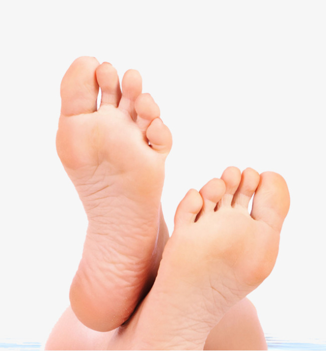 Free: Feet Png & Transparent Images #3053 - PNGio - nohat.cc