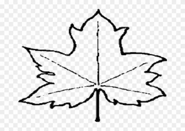 Free: File Leaf Outline Wikipedia Clipart - Outline Of A Leaf - nohat.cc