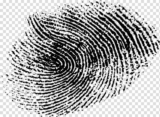 Free: Fingerprint illustration, Fingerprint Line art Drawing ...