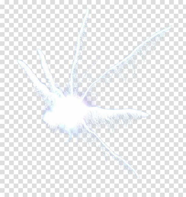 Free: Firework Set , white smoke transparent background PNG clipart ...