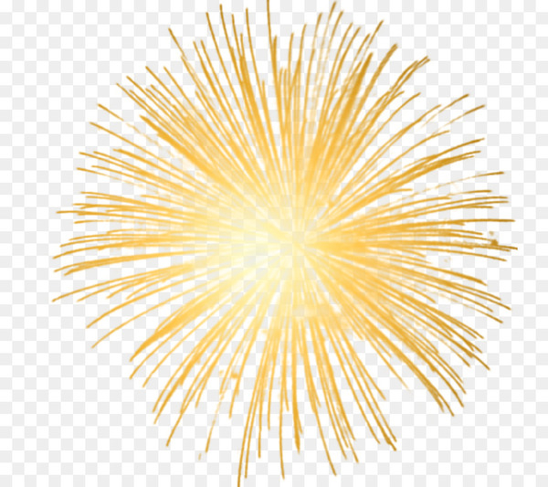 Free: Fireworks New Year's Eve Clip art - fireworks - nohat.cc