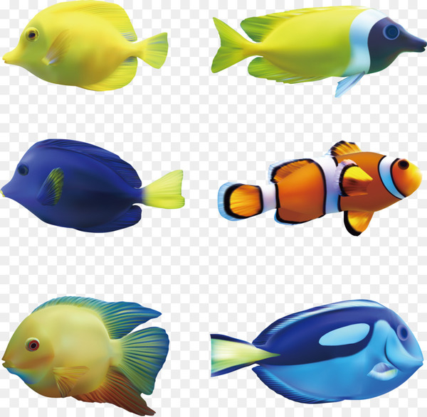 Free: Fish Seabed - Sightseeing seabed fish - nohat.cc
