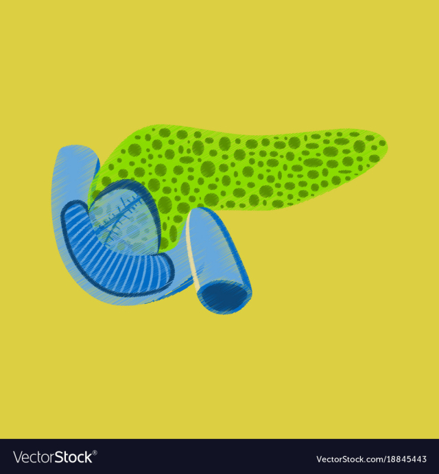 Free: Flat shading style icon duodenum and pancreas vector image - nohat.cc