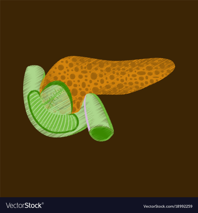 Free: Flat shading style icon duodenum and pancreas vector image - nohat.cc