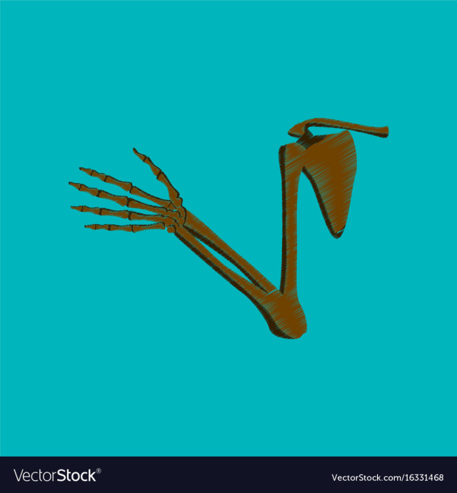 Free: Flat shading style icon shoulder joint vector image - nohat.cc