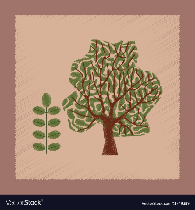 Free: Flat shading style plant Acacia vector image - nohat.cc