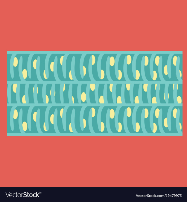 Free: Flat showing type of muscle cells vector image - nohat.cc