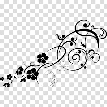 Free: Fleur noir et blanc png 4 » PNG Image - nohat.cc