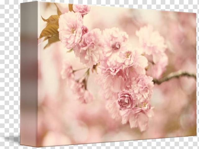 Free: Floral design Flower bouquet Tablou canvas Petal, cherry blossom ...