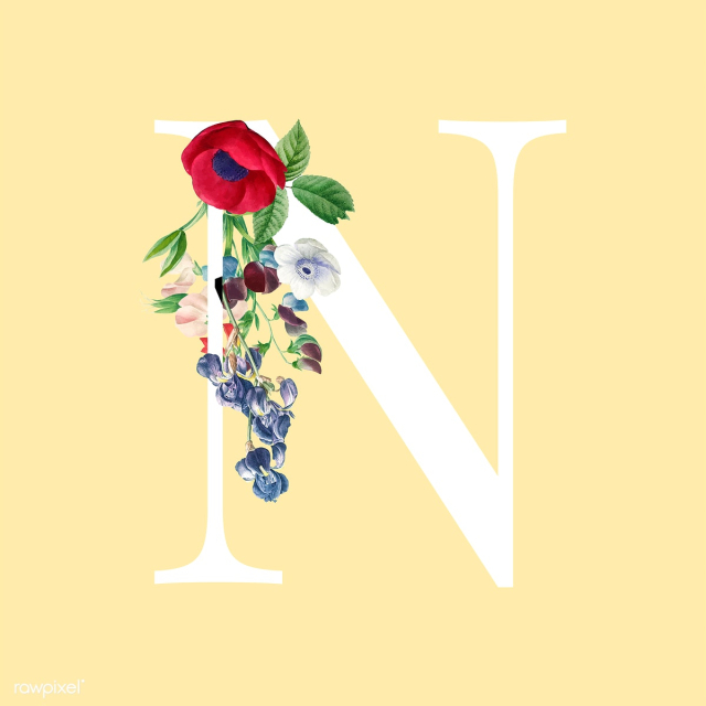 Free: Floral styled letter N typography | Free stock vector - 564224 ...