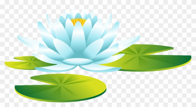 Free: Flower Aquatic Plants Leaf Water - Photography - nohat.cc