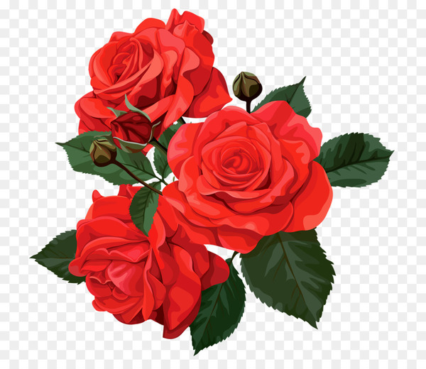 Free: Flower bouquet Rose Clip art - Red roses with thorns - nohat.cc