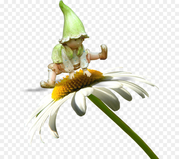 Free: Flower Fairy Cartoon - Cute Flower Fairy - nohat.cc