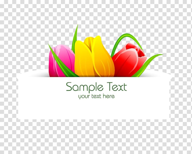 Free: Flower Tulip Banner, Tulip Border transparent background PNG ...