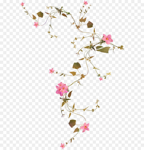Free: Flower vine - nohat.cc