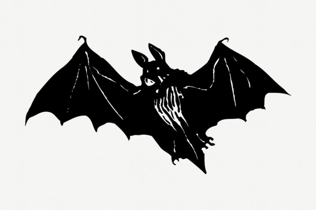 Free: Flying bat collage element, vintage | Free PSD - rawpixel - nohat.cc