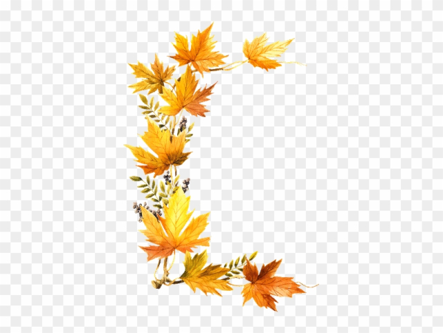 Fall Leaf Clip Art Border Autumn Leaves Clip Art Images Free