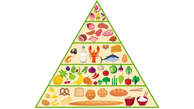 Free: Food Pyramid Nutrition Animation Motion Background - Storyblocks ...
