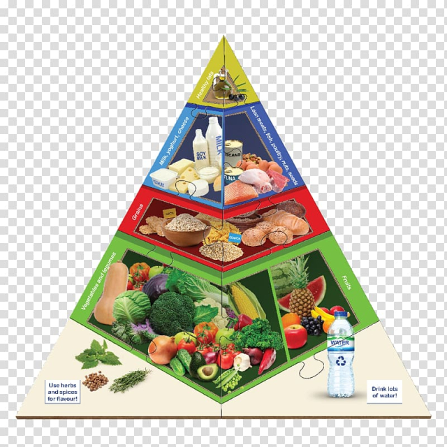 Free: Food pyramid Paleolithic diet Health Vegetable, food pyramid ...