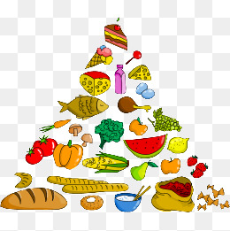 Free: Food Pyramid Png (95+ images in Collection) Page 3 - nohat.cc