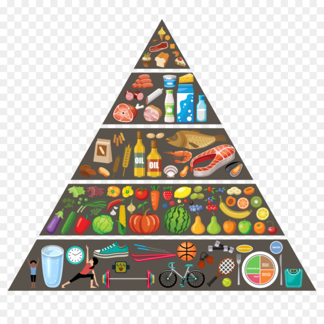 Free: food pyramid png download - 1024*1024 - Free Transparent Nutrient ...