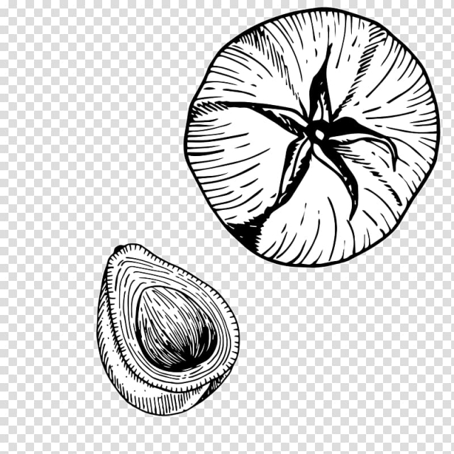 Free: Food Vegetable Ingredient Dish Meal, Delicate line drawing ...