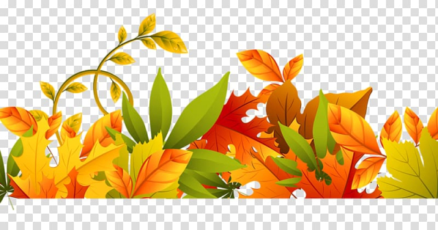 Free: For Fall Borders and Frames Autumn leaf color, autumn transparent ...