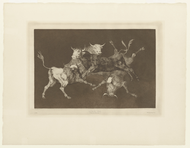 Free: four bulls depicted in different | Free Photo - rawpixel - nohat.cc